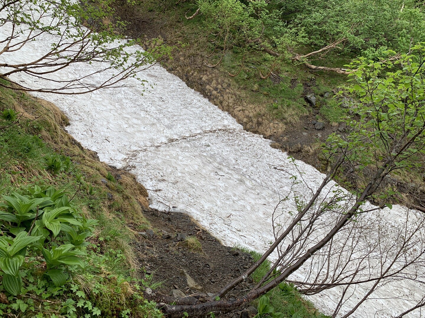 nkakさんの投稿したフィールドメモ | YAMAP / ヤマップ