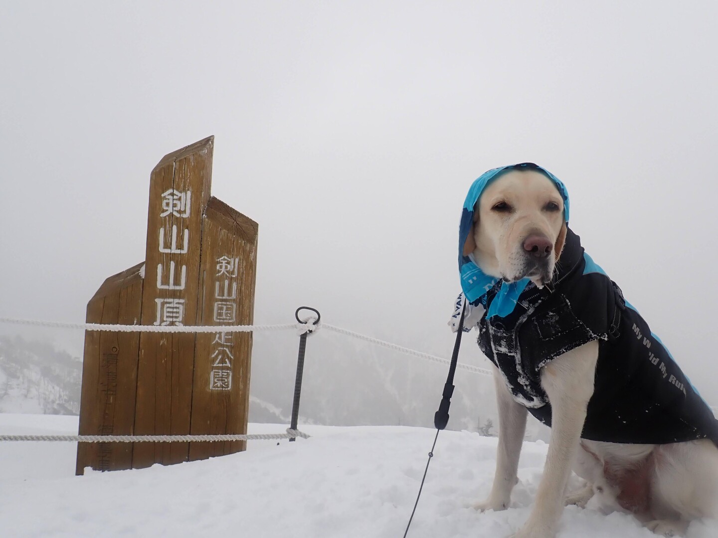 徳島遠征じょ⑤【剣山】 Top of TOKUSHIMA🏆 / おちもりさんの剣山の活動データ | YAMAP / ヤマップ