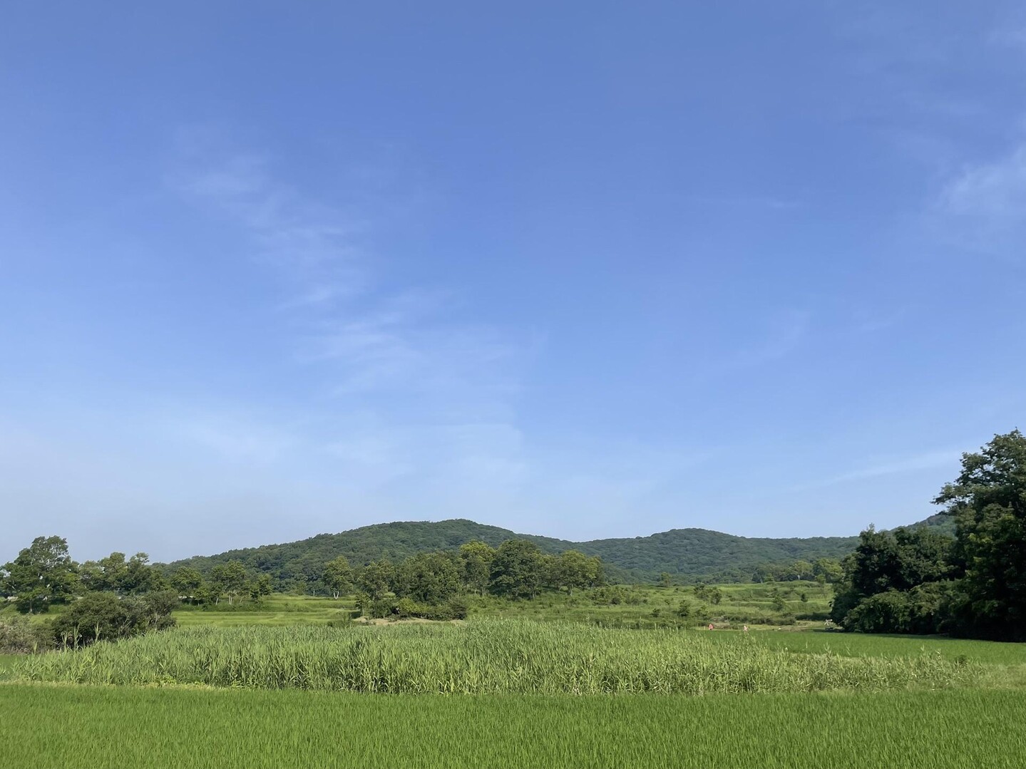 尖浅間山-2023-06-18 / yuk@さんの宝篋山・富岡山の活動データ | YAMAP / ヤマップ