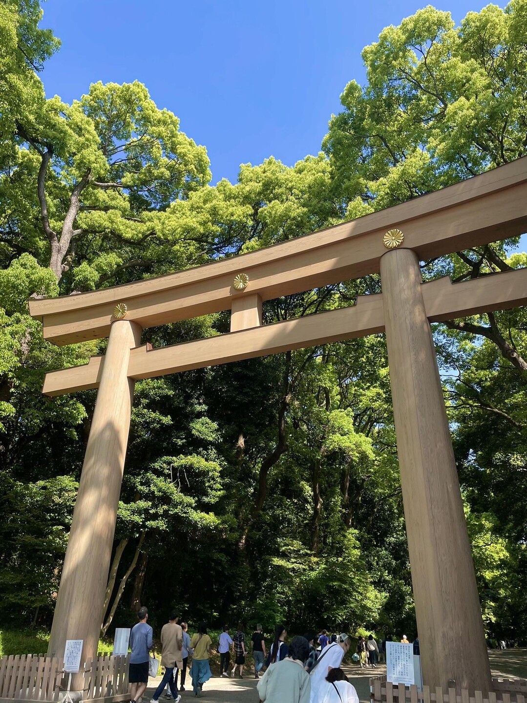 散歩に行こう!!とのこと。 明治神宮から... / N☆B☆Jさんのモーメント | YAMAP / ヤマップ