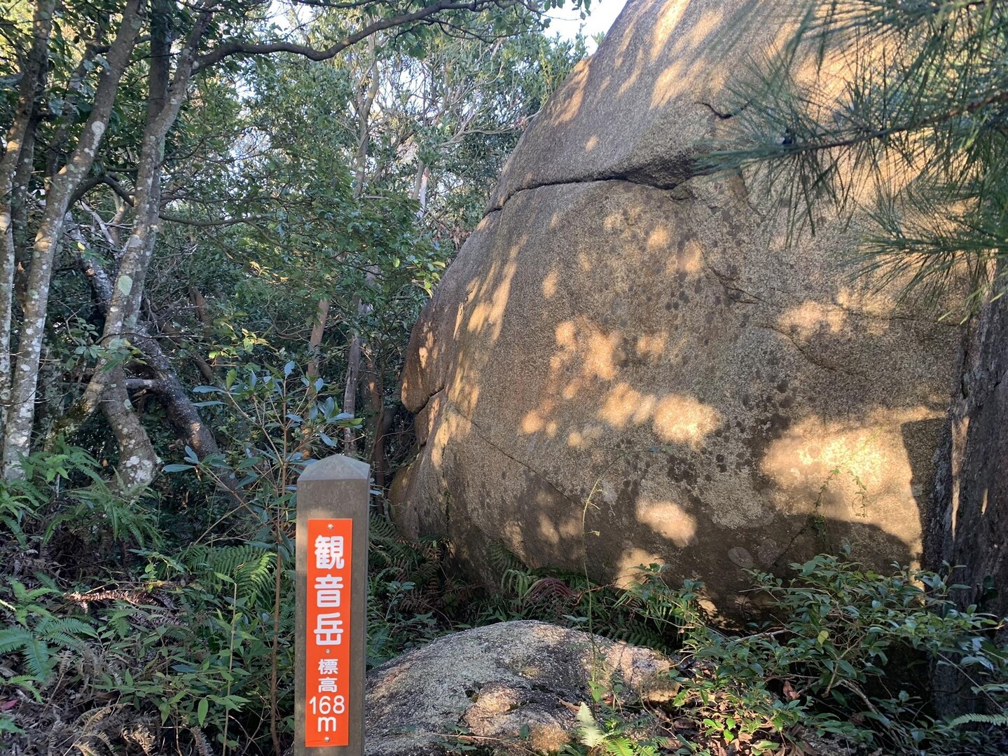 初のシダ刈🌾🌱観音岳 / koma_xさんの霜降岳（霜降山）・観音岳・白岩山の活動データ | YAMAP / ヤマップ