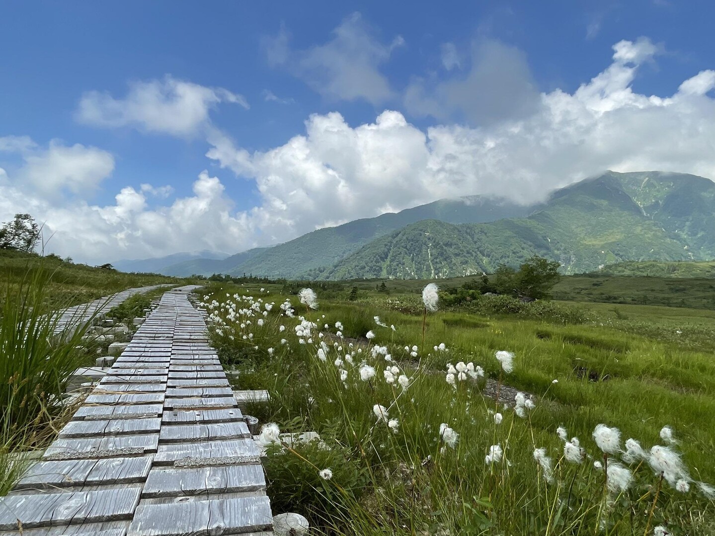 黒部ダム60周年〜雷鳥沢1日目 / akimaruさんの立山・雄山・浄土山の活動データ | YAMAP / ヤマップ