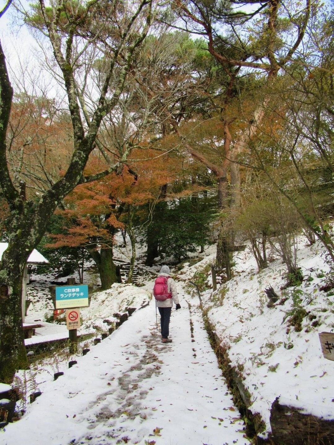 金剛山で鳥活🐧 / otaksaさんの金剛山・二上山・大和葛城山の活動日記 | YAMAP / ヤマップ