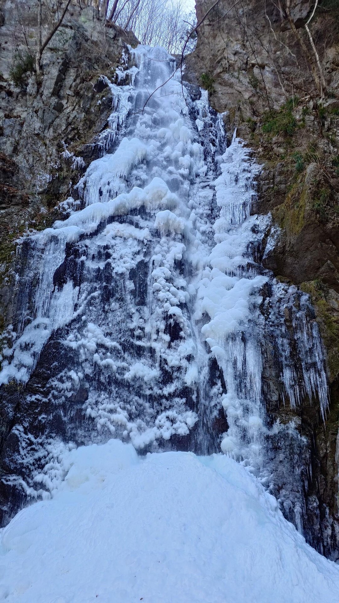 2025.2.8 百尋ノ滝【川苔山】 い... / りくそんさんのモーメント | YAMAP / ヤマップ