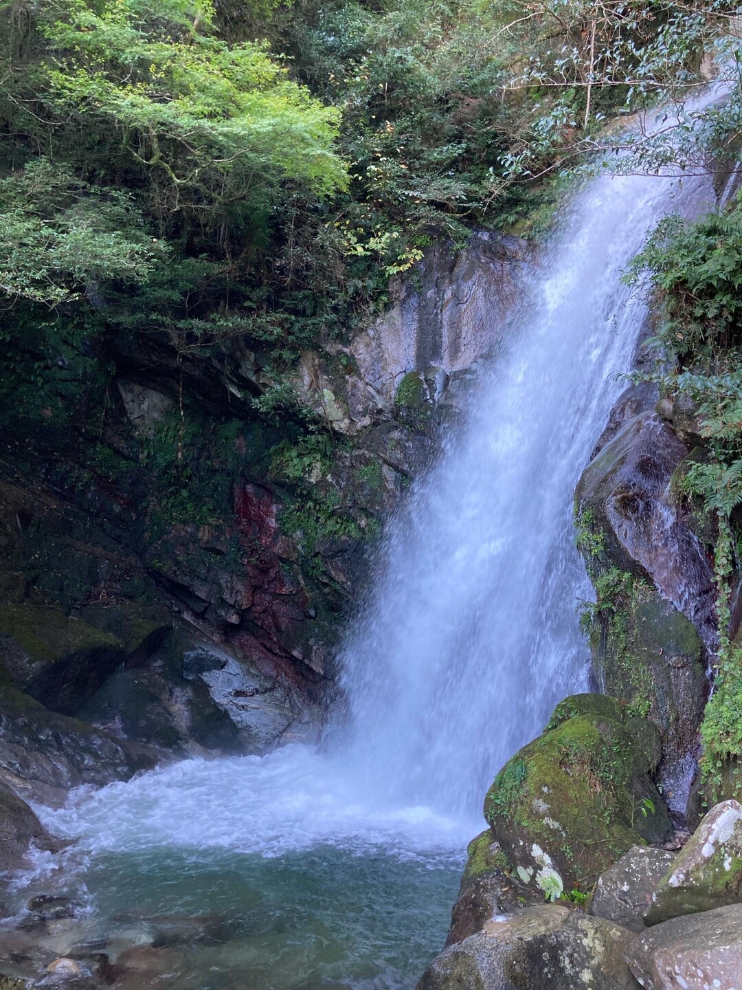 Toshio さんの投稿したフィールドメモ | YAMAP / ヤマップ