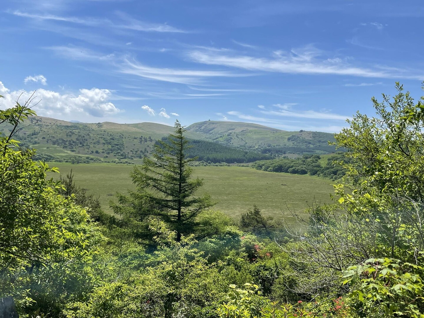 鷲ヶ峰 / Vega-tanさんの霧ヶ峰・車山・大笹峰の活動データ | YAMAP / ヤマップ