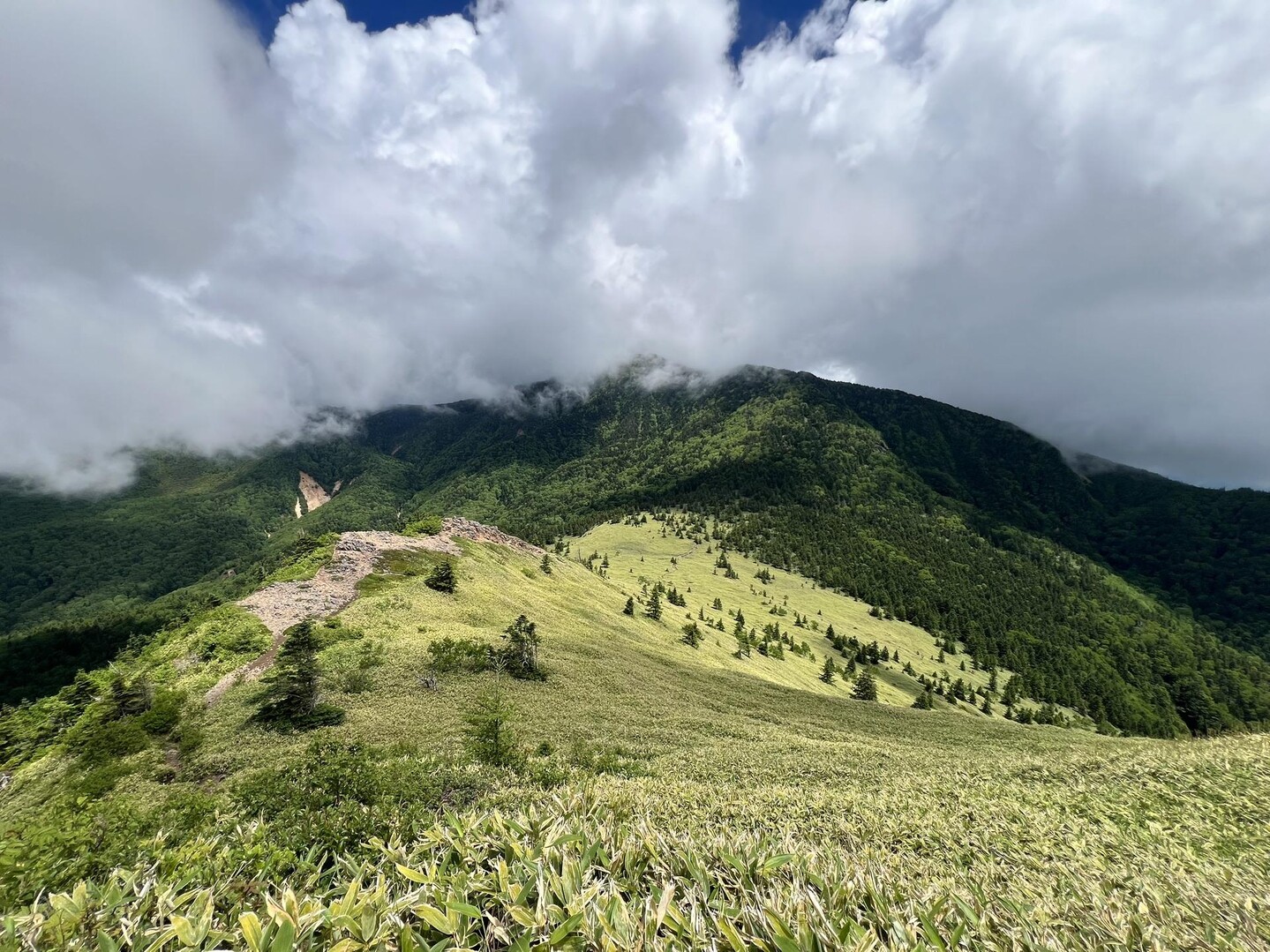 根子岳・四阿山・中四阿・小四阿 / satokaさんの四阿山・根子岳の活動データ | YAMAP / ヤマップ