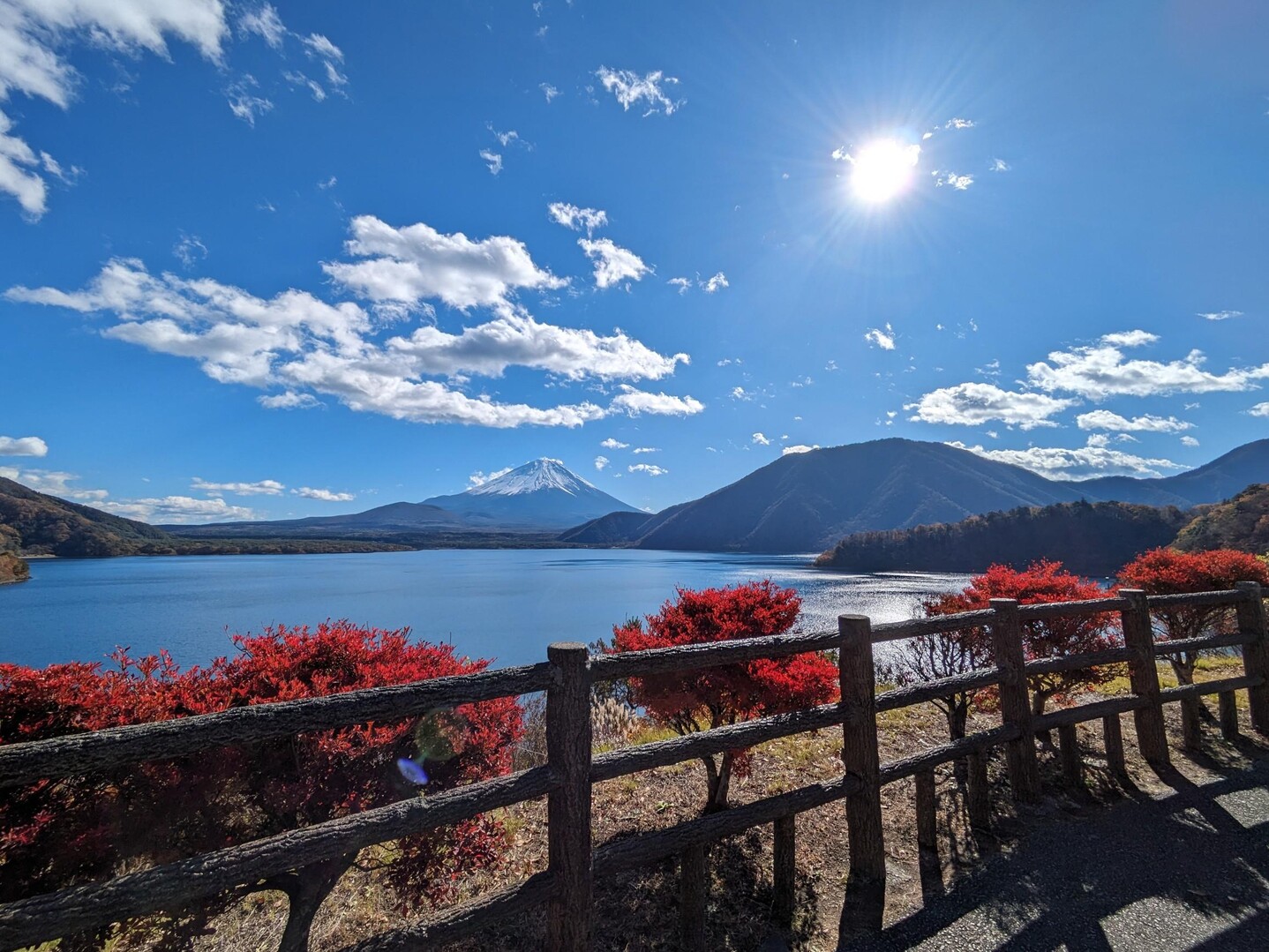 竜ヶ岳 / AWA-MANさんの毛無山・雨ヶ岳・竜ヶ岳の活動データ | YAMAP / ヤマップ