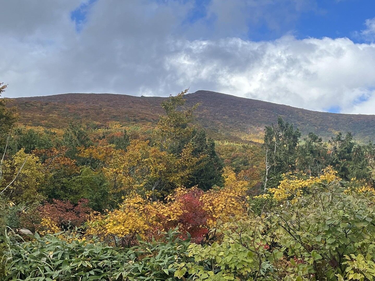 東栗駒山・栗駒山(須川岳) / zumiさんの栗駒山（須川岳）・秣岳・虚空蔵山の活動データ | YAMAP / ヤマップ