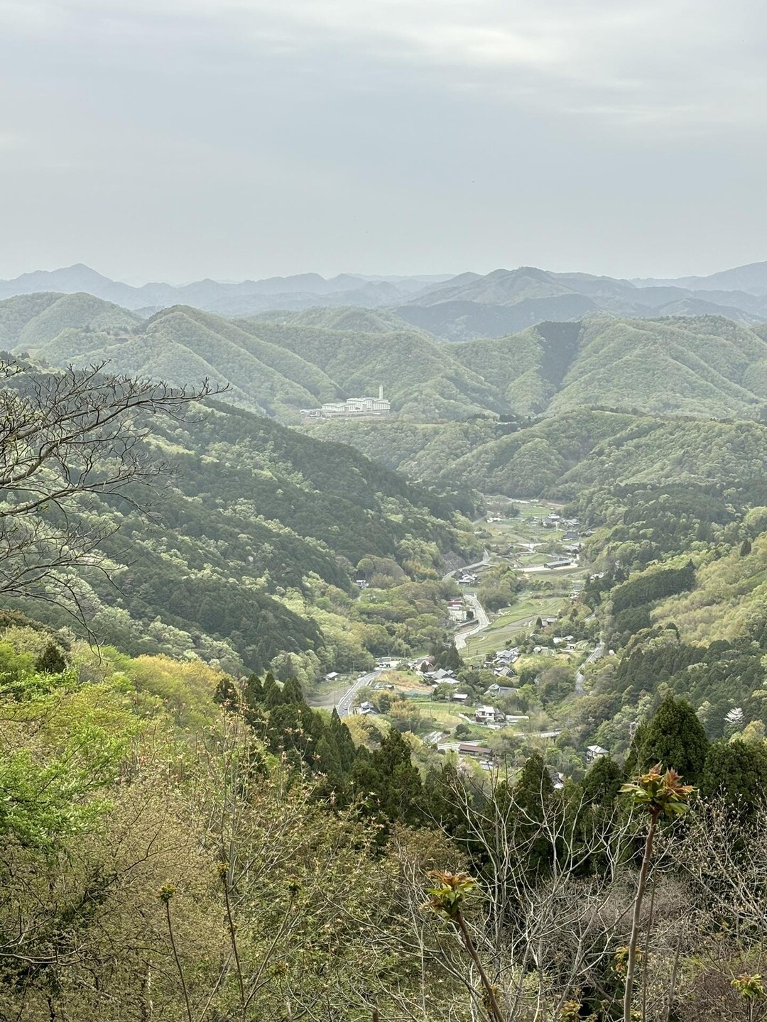 妙見山 / kobbyさんの能勢妙見山・歌垣山・天台山の活動データ | YAMAP / ヤマップ