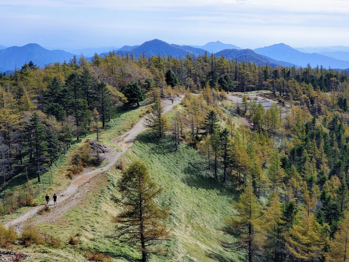 雲取山 / IKM'Sさんの雲取山・鷹ノ巣山・七ツ石山の活動日記 | YAMAP / ヤマップ