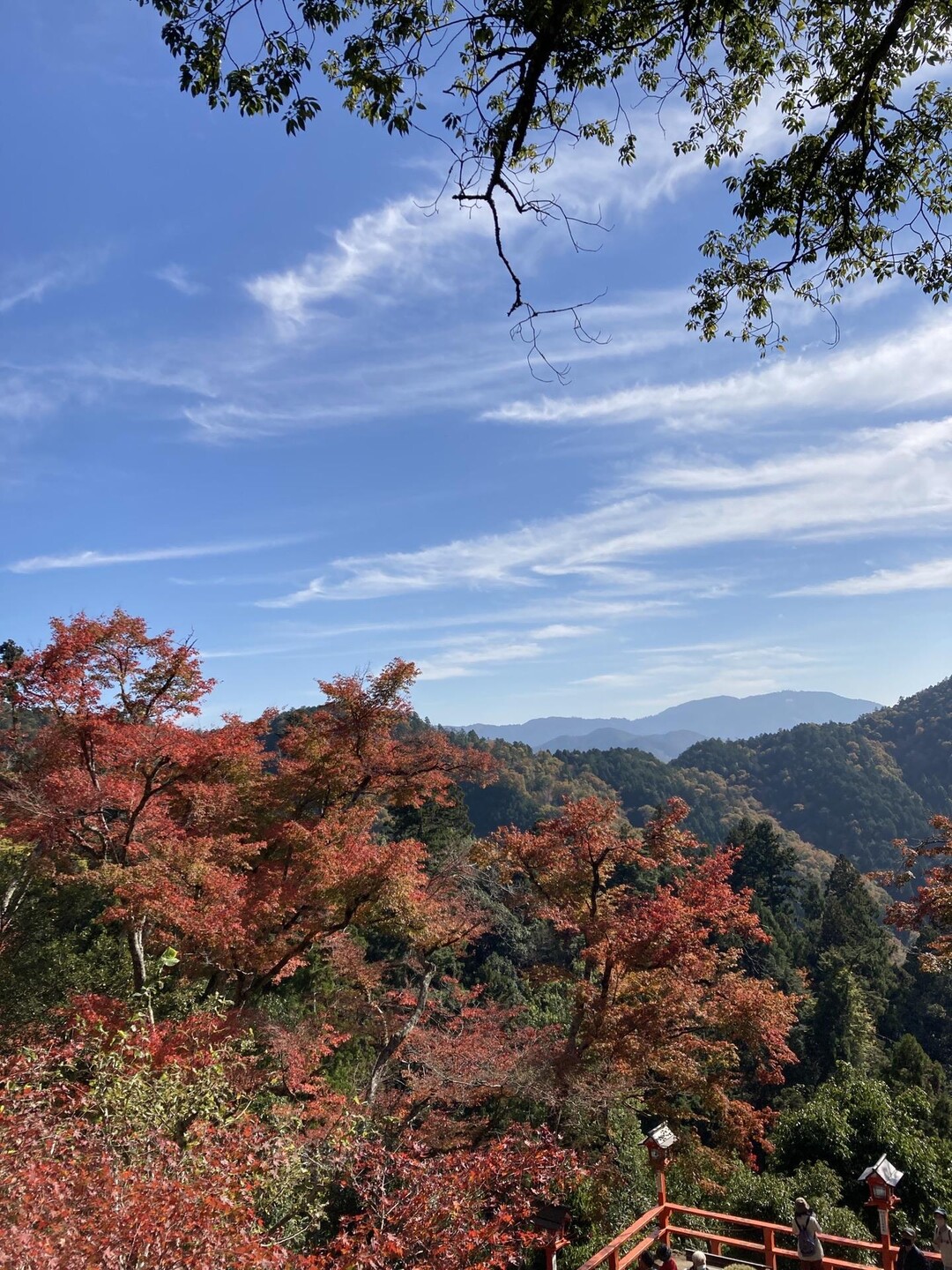 "紅葉の鞍馬ハイキング" 鞍馬〜貴船神社〜貴船口 / annpapaさんの貴船山・鞍馬山の活動データ | YAMAP / ヤマップ