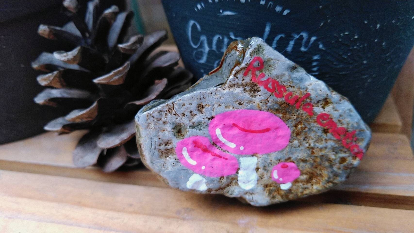 キノコワロック描きました🍄😊 1... / kazさんのモーメント | YAMAP / ヤマップ