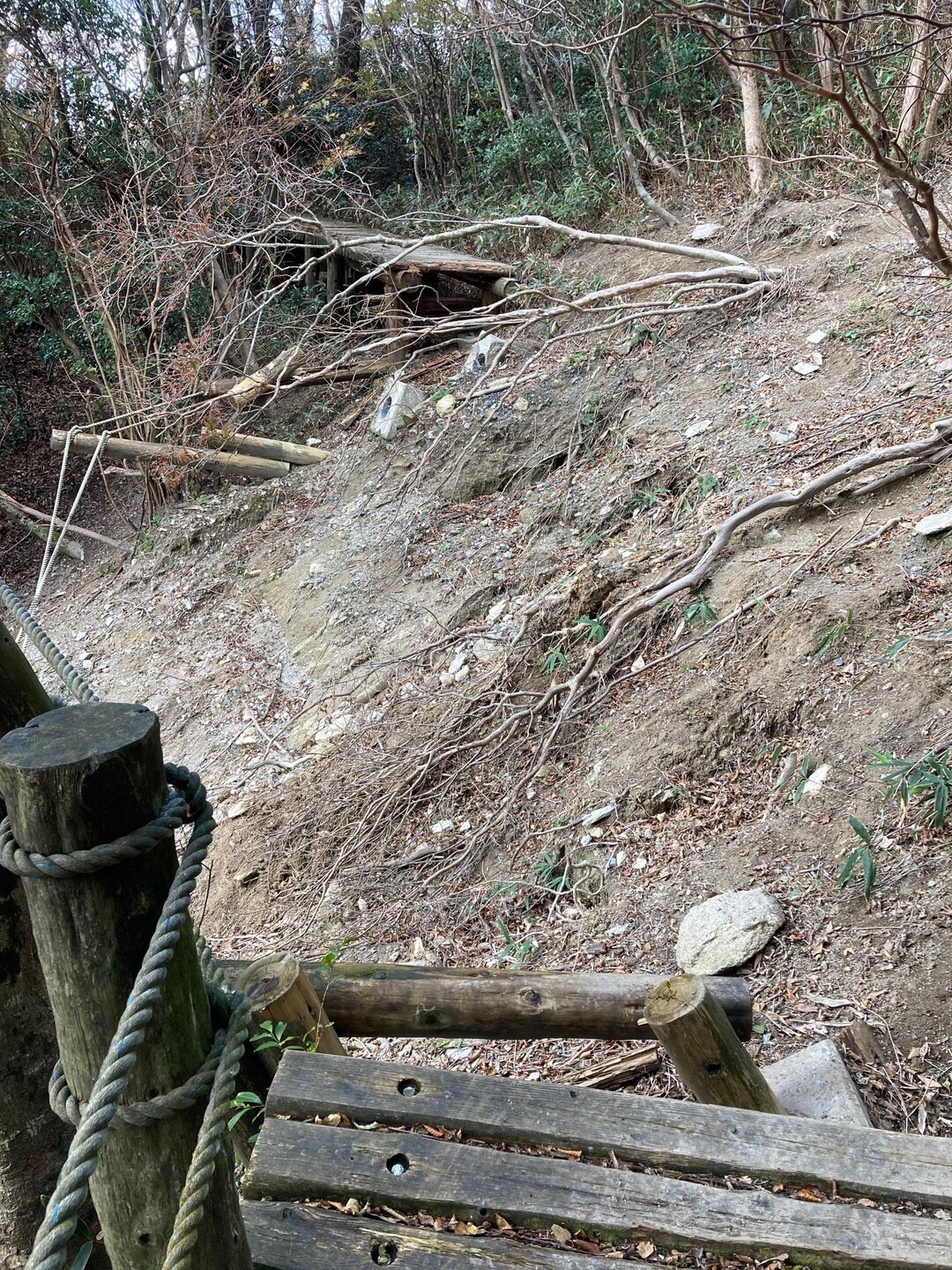 naotoさんの投稿したフィールドメモ | YAMAP / ヤマップ