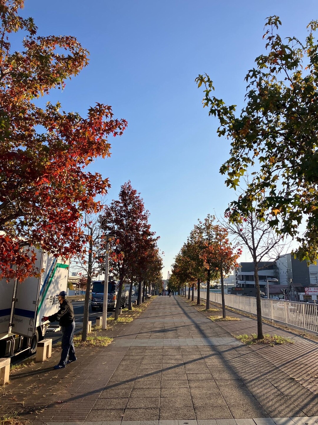 🍁🚶‍♂️☀️秋晴れ☀️🚶‍♂️🍁ひんやり / masさんのウォーキングの活動データ | YAMAP / ヤマップ