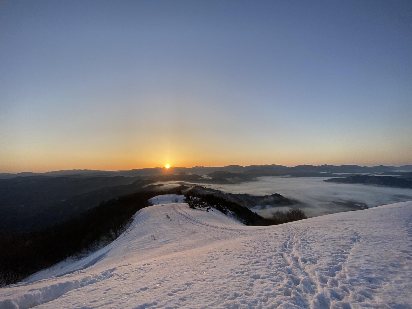 蒜山 へ / mm-guさんの蒜山の活動データ | YAMAP / ヤマップ