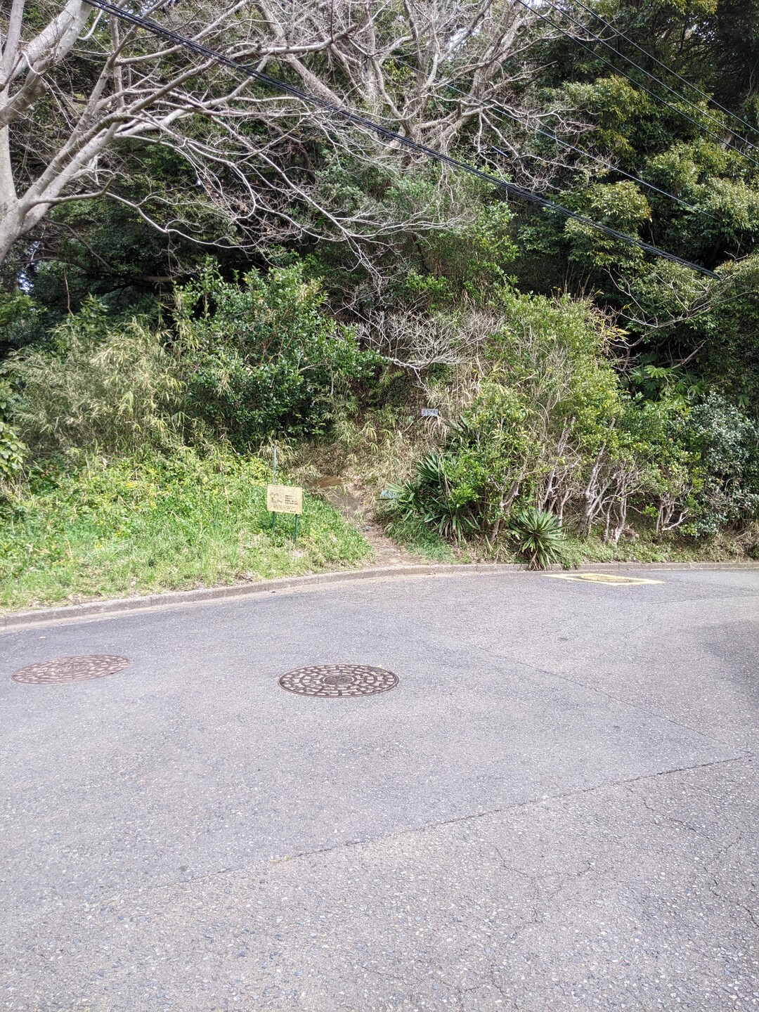 saiさんの投稿したフィールドメモ | YAMAP / ヤマップ