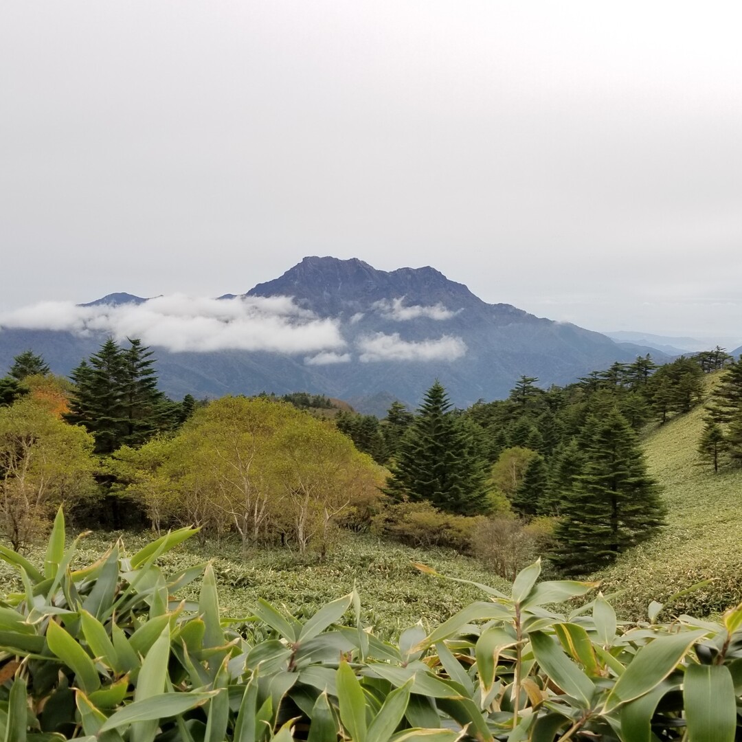 瓶ヶ森から石鎚山を眺める / JUJUさんの瓶ヶ森・伊予富士の活動データ | YAMAP / ヤマップ