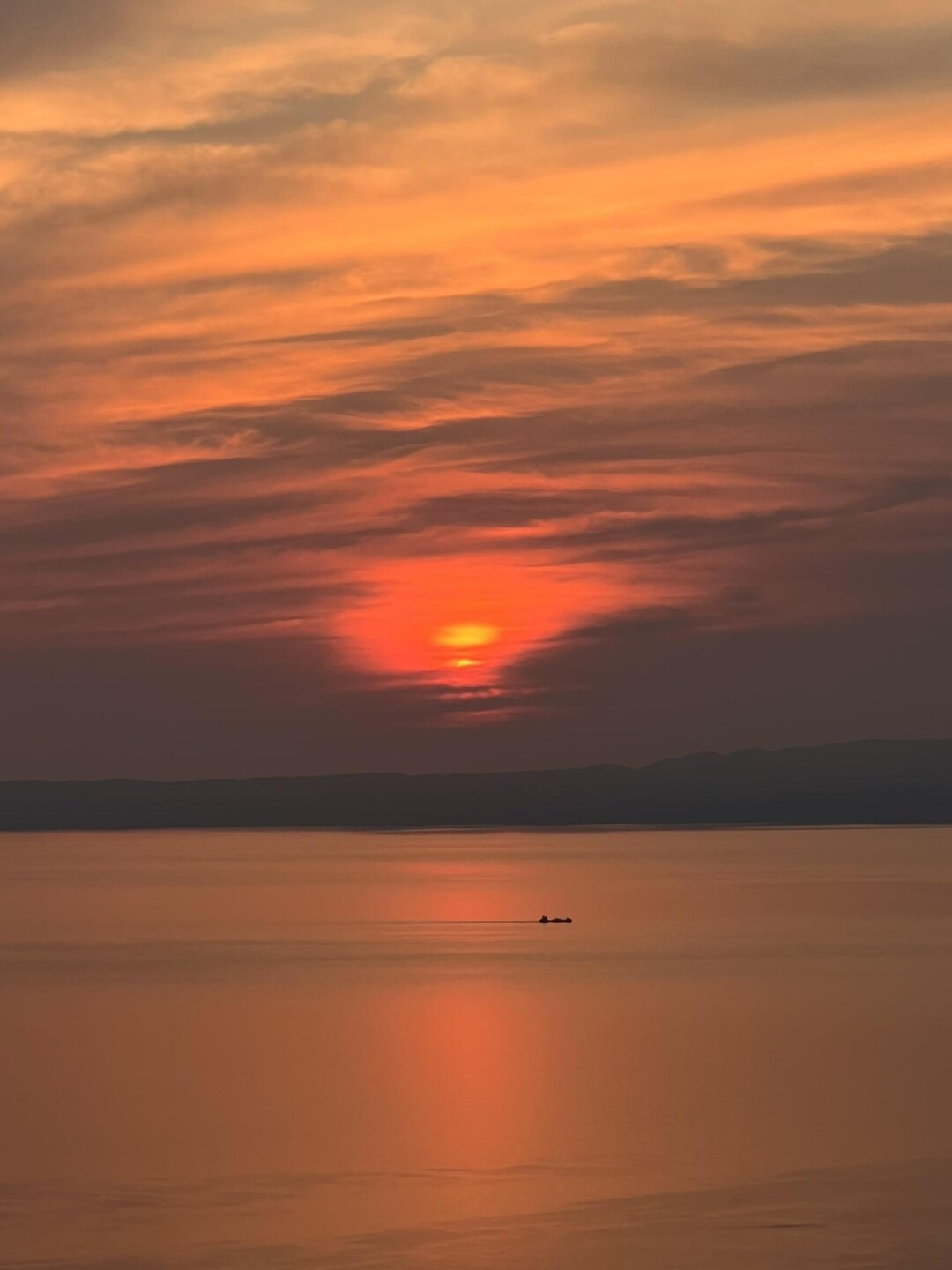 弥彦山 / yuichiroさんの弥彦山・多宝山・雨乞山の活動データ | YAMAP / ヤマップ