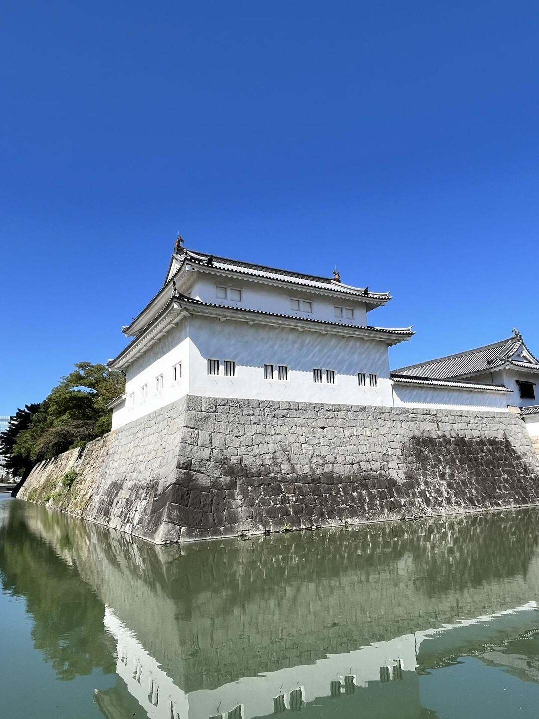 お城めぐり🏯 家康殿に会いに駿府城へ、... / meさんのモーメント | YAMAP / ヤマップ