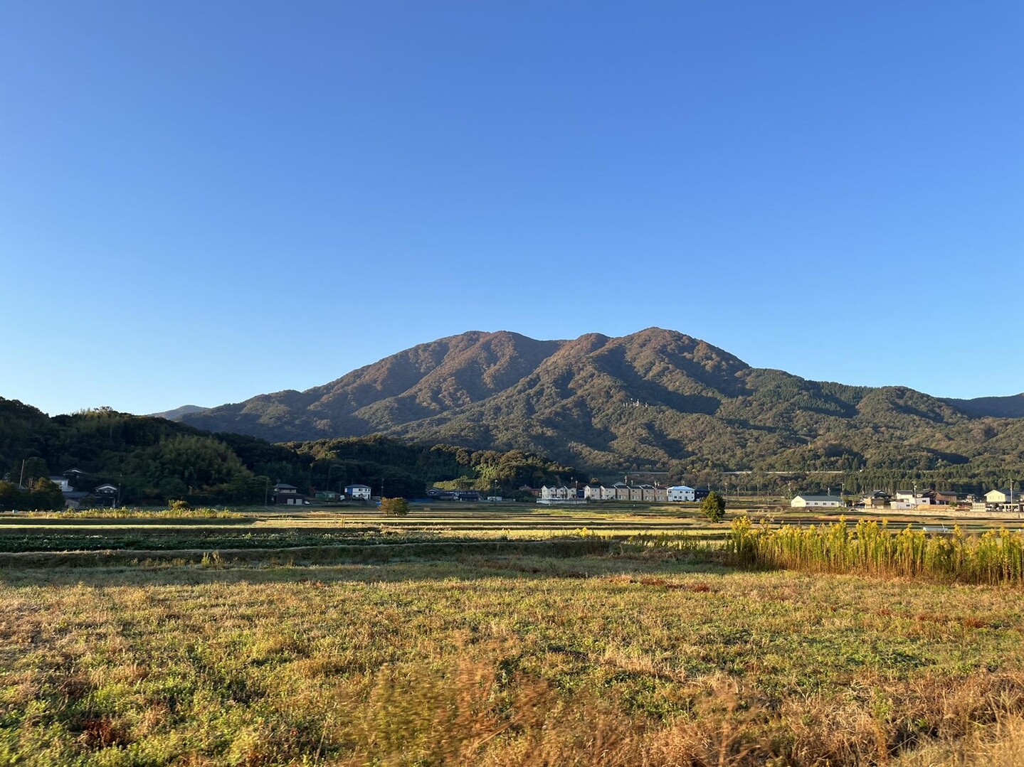 お久しぶりの野坂山 / Sueさんさんの野坂岳の活動データ | YAMAP / ヤマップ