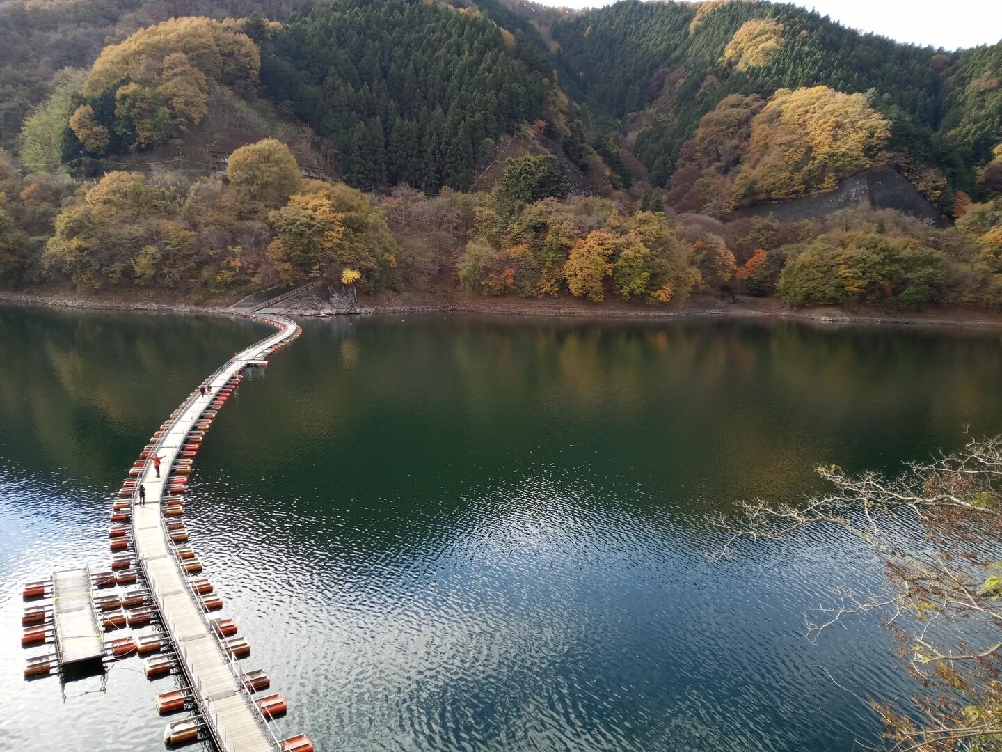 三頭山（ヌカザス）20231123 / URJさんの三頭山・槇寄山・土俵岳の活動データ | YAMAP / ヤマップ