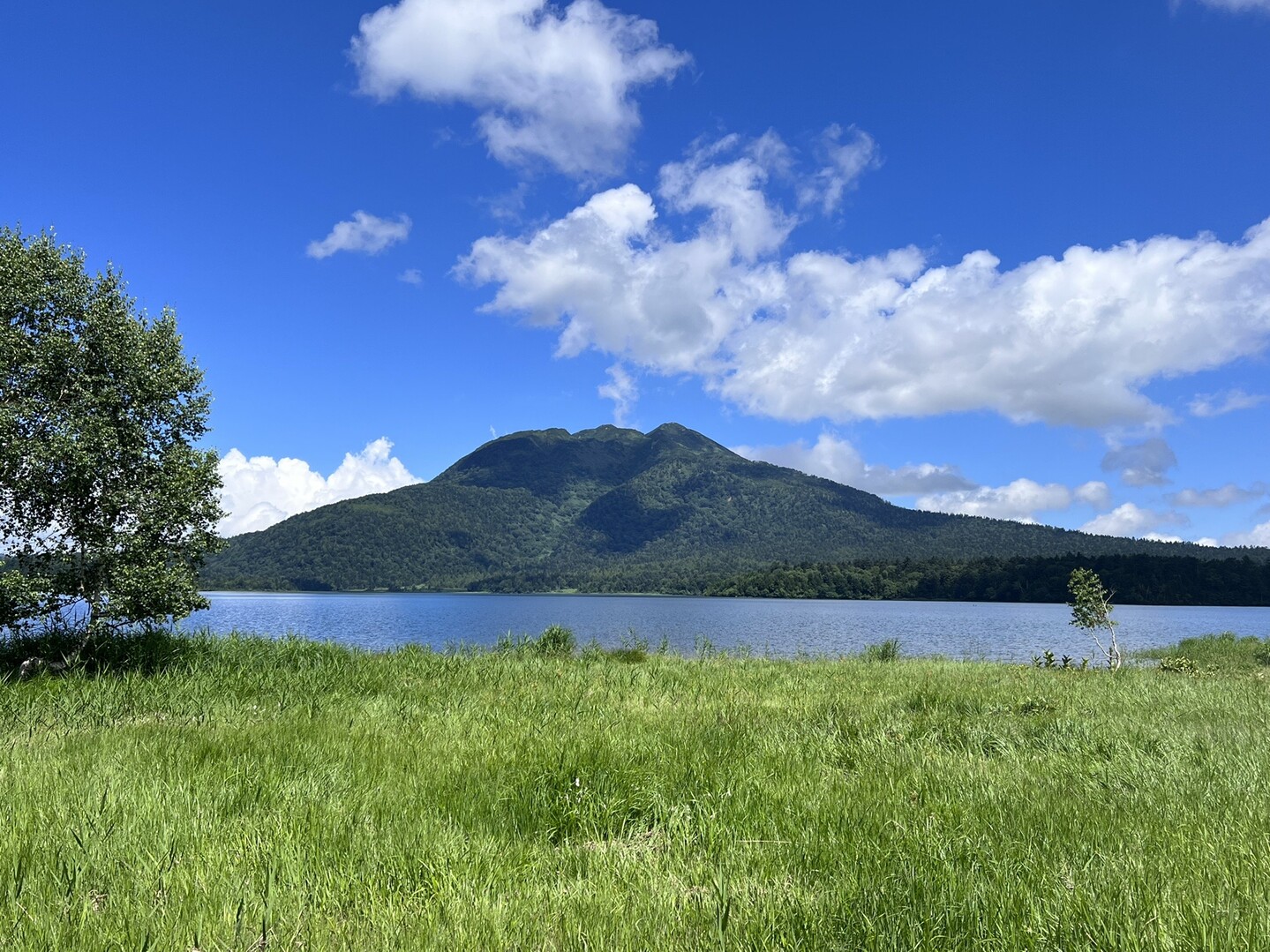 尾瀬沼-2022-07-31 / yuzu_coさんの尾瀬・燧ヶ岳の活動データ | YAMAP / ヤマップ