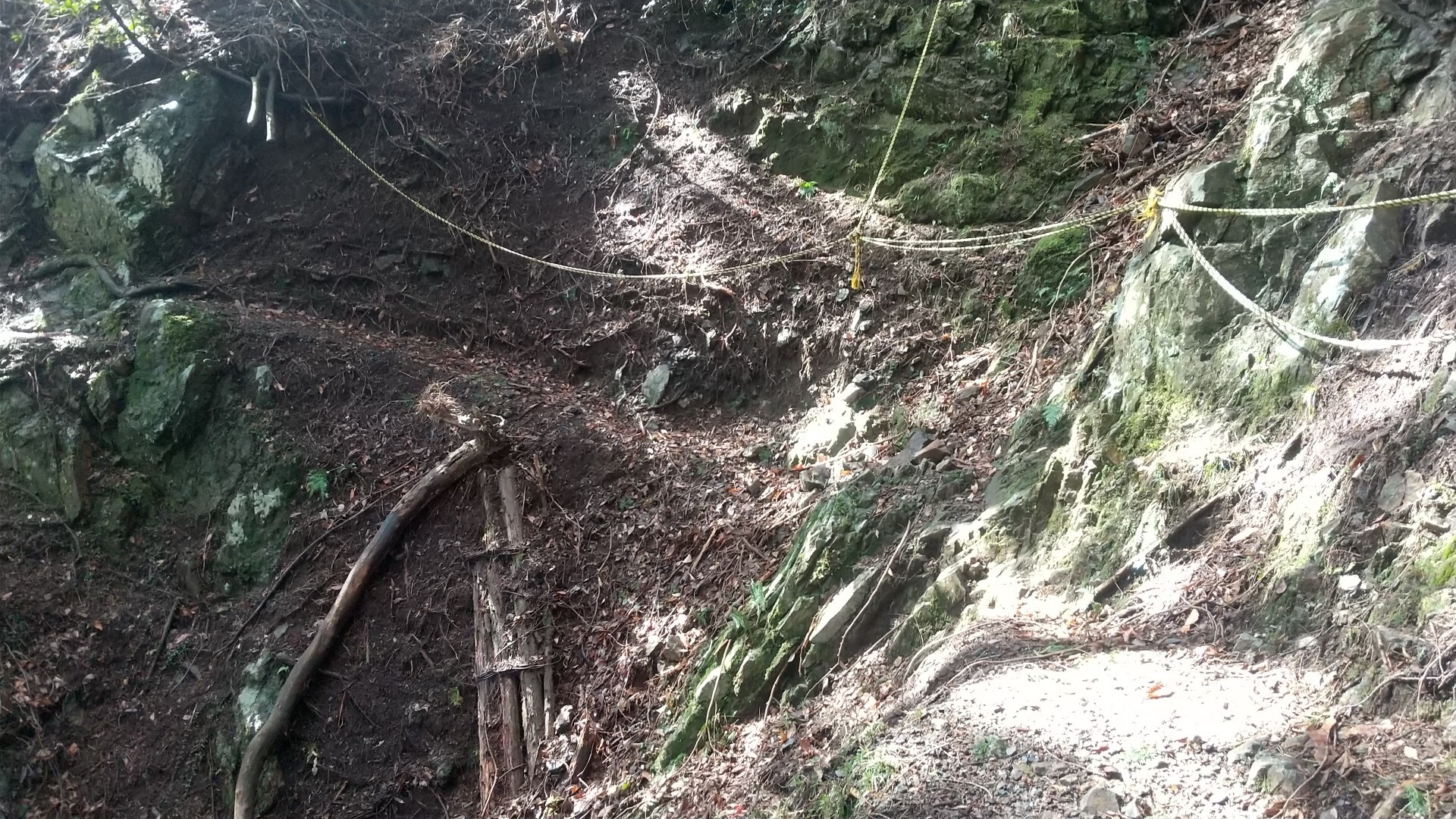 koiさんの投稿したフィールドメモ | YAMAP / ヤマップ