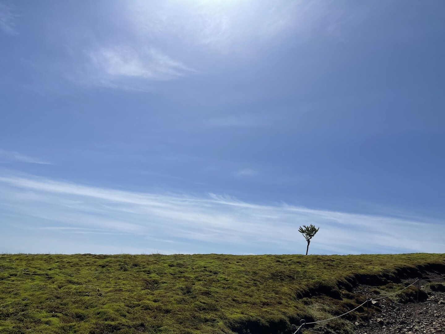 夢にまでみた... 鈴北岳・御池岳 / mojaさんの天狗堂の活動データ | YAMAP / ヤマップ