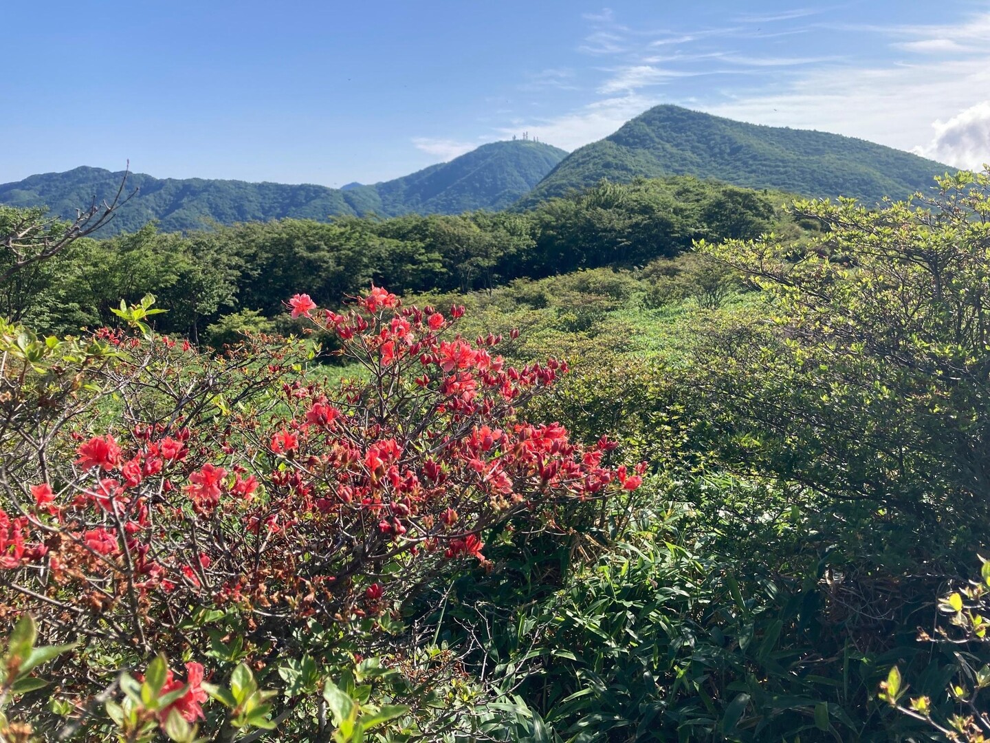 火起山・鍋割山 梅雨の晴れ間に / papeさんの赤城山・黒檜山・荒山の活動データ | YAMAP / ヤマップ