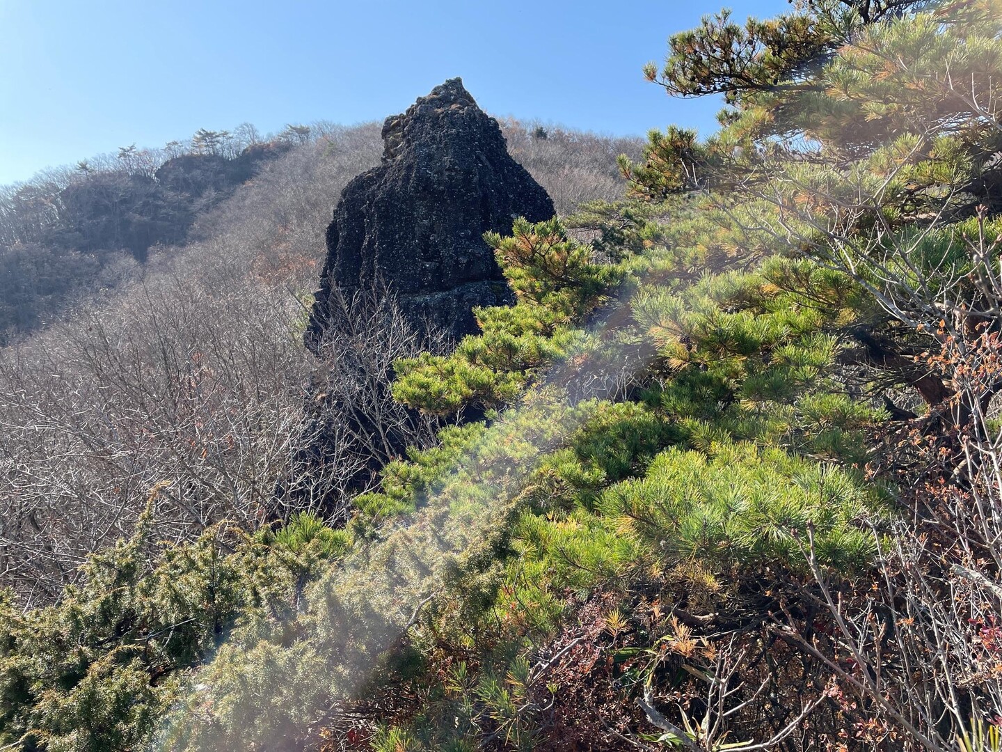 ota660さんの投稿したフィールドメモ | YAMAP / ヤマップ