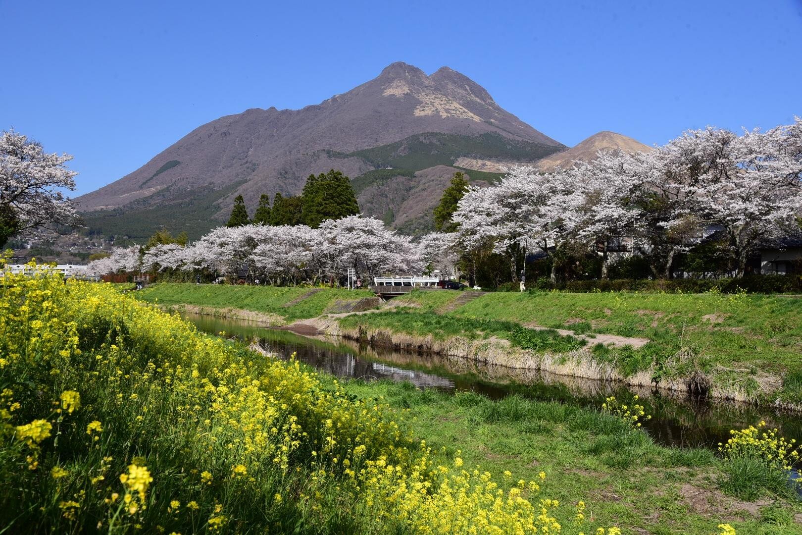 2023.03.28 桜めぐり🌸 / アスカルさんのモーメント | YAMAP / ヤマップ