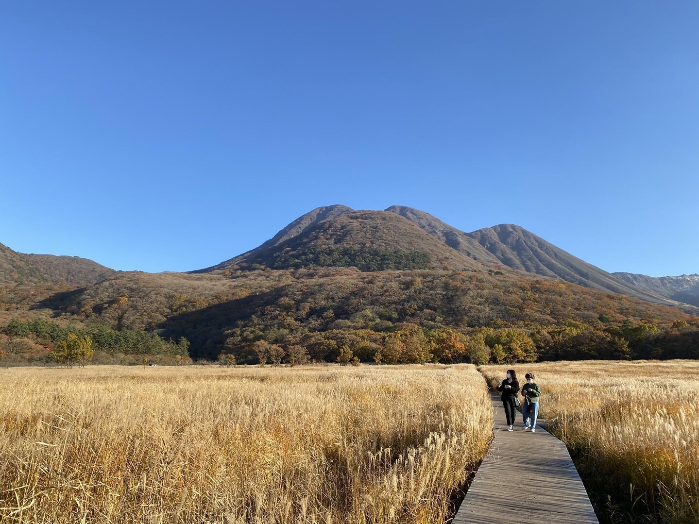 三俣山（西峰）・三俣山（Ⅳ峰）・三俣山（本峰）・三俣山（北峰）・三俣山（南峰） / red-pさんの九重山（久住山）・大船山・星生山の活動データ | YAMAP / ヤマップ