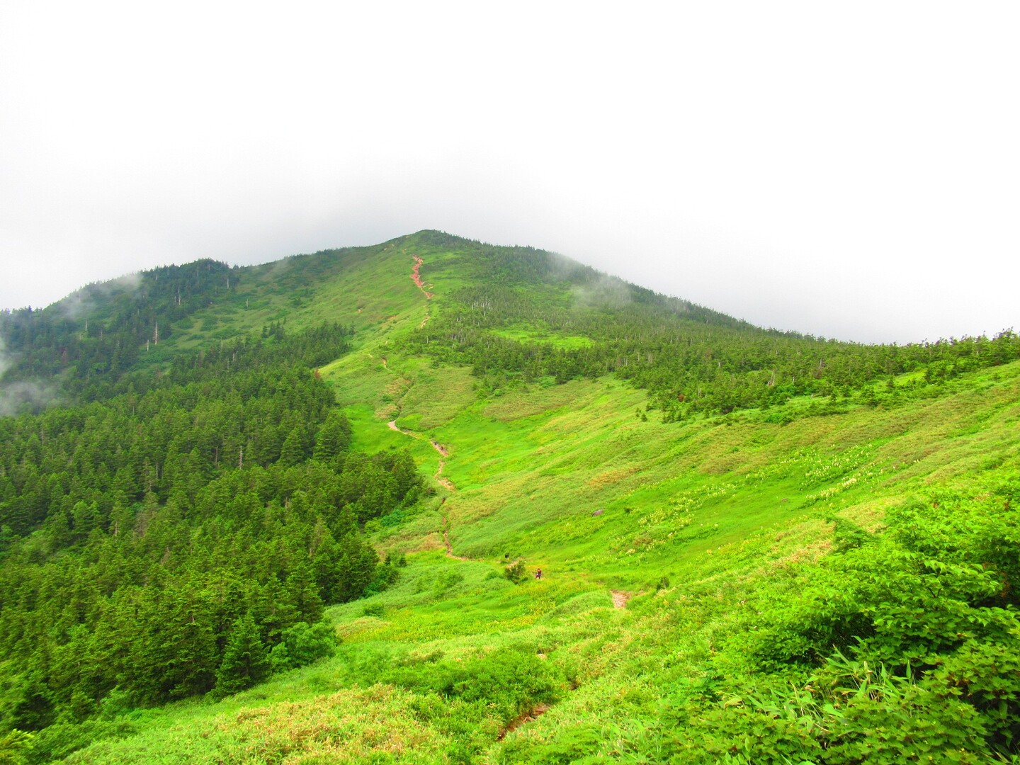 西吾妻山 / y_kumataさんの吾妻山・一切経山の活動データ | YAMAP / ヤマップ