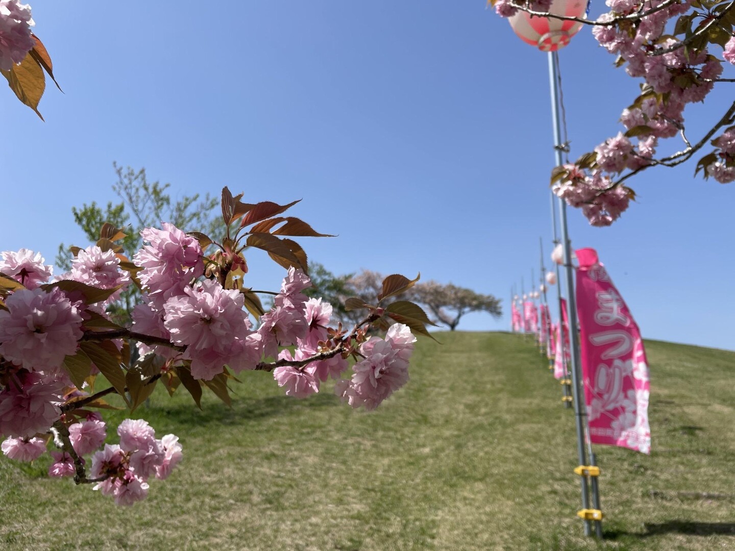 加護坊山 / sskさんの加護坊山の活動データ | YAMAP / ヤマップ