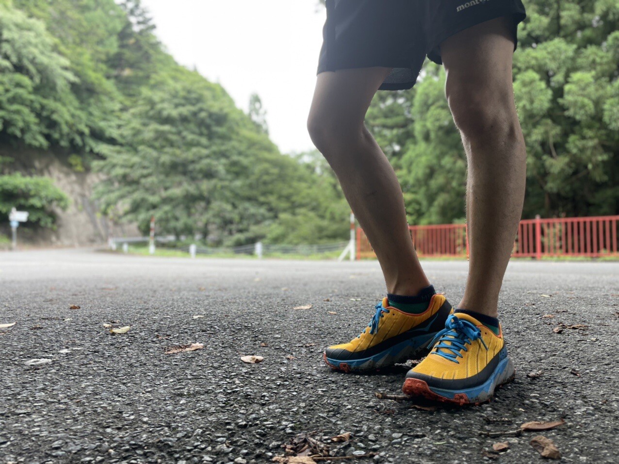 HOKAトレント👟 型落ち？ で、ヒマ... / Izumiさんのモーメント | YAMAP / ヤマップ