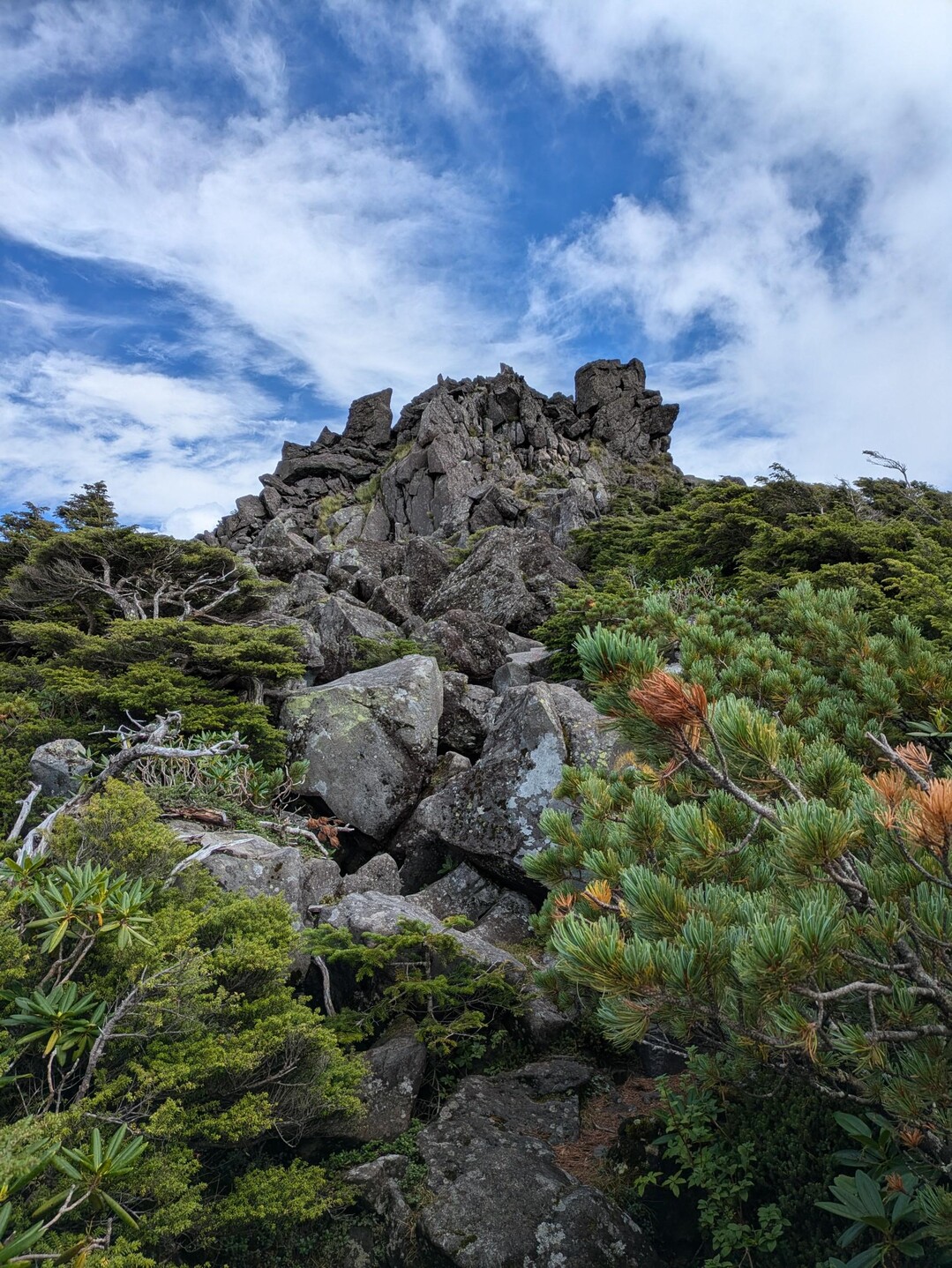 北横岳（南峰）・北横岳（北峰）・三ッ岳・雨池山 / Azu&Samさんの蓼科山・横岳・縞枯山の活動データ | YAMAP / ヤマップ