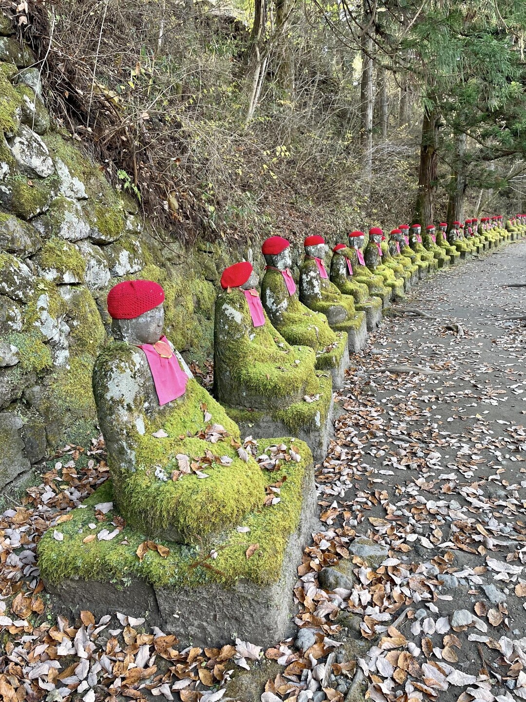 2022/11/19 神ノ主山・鳴虫山・合峰・独標 / ヤスさんの鳴虫山・火戸尻山の活動データ | YAMAP / ヤマップ