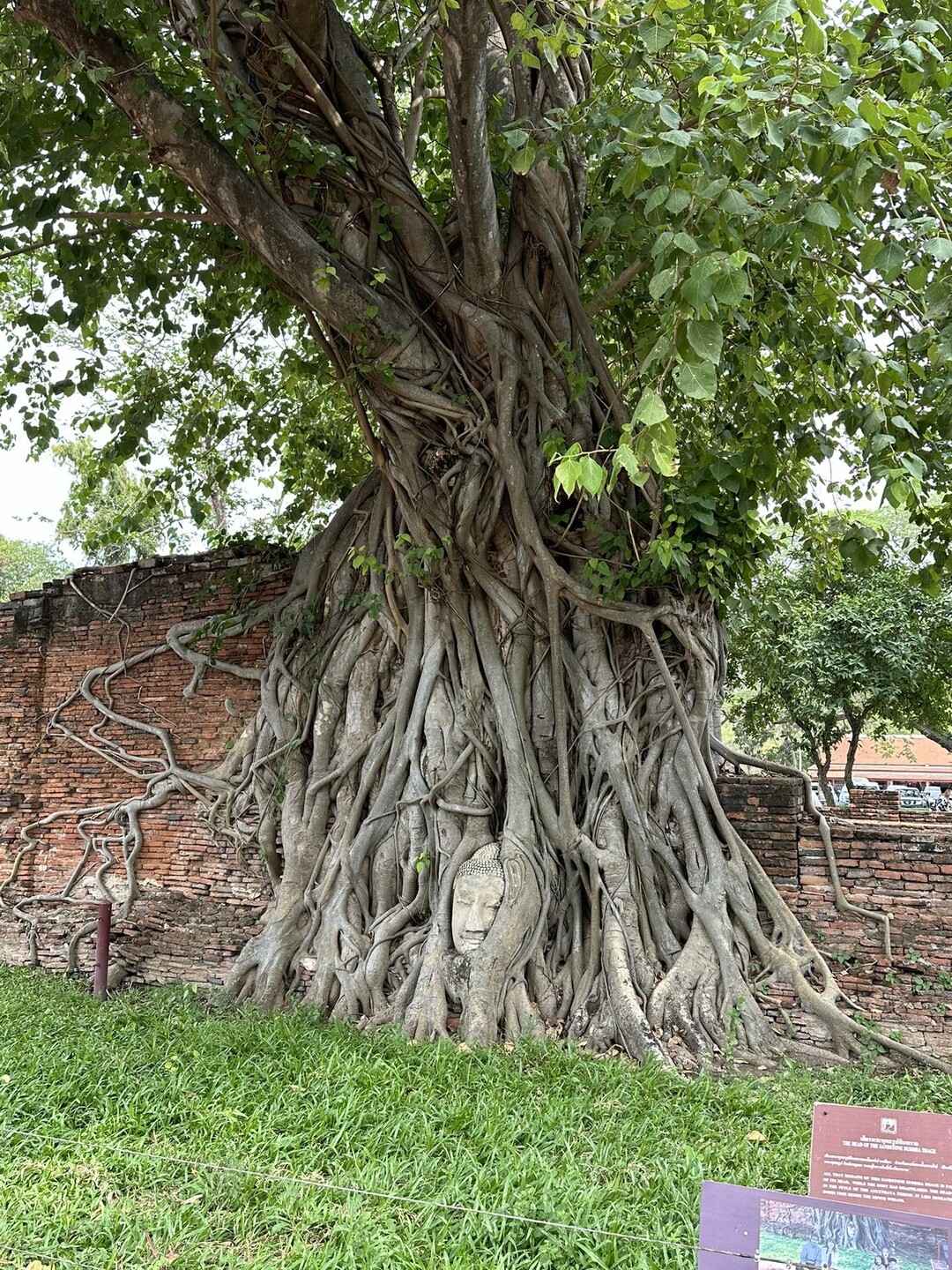 タイ バンコクに行って来ました(初) 1... / tinamtさんのモーメント | YAMAP / ヤマップ