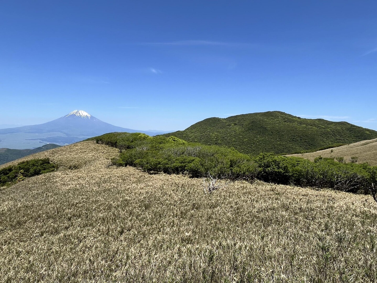 [No93]勝負曲で燃え上がり、勝負曲で燃え尽きた男 / ik_ouさんの箱根山・神山の活動データ | YAMAP / ヤマップ