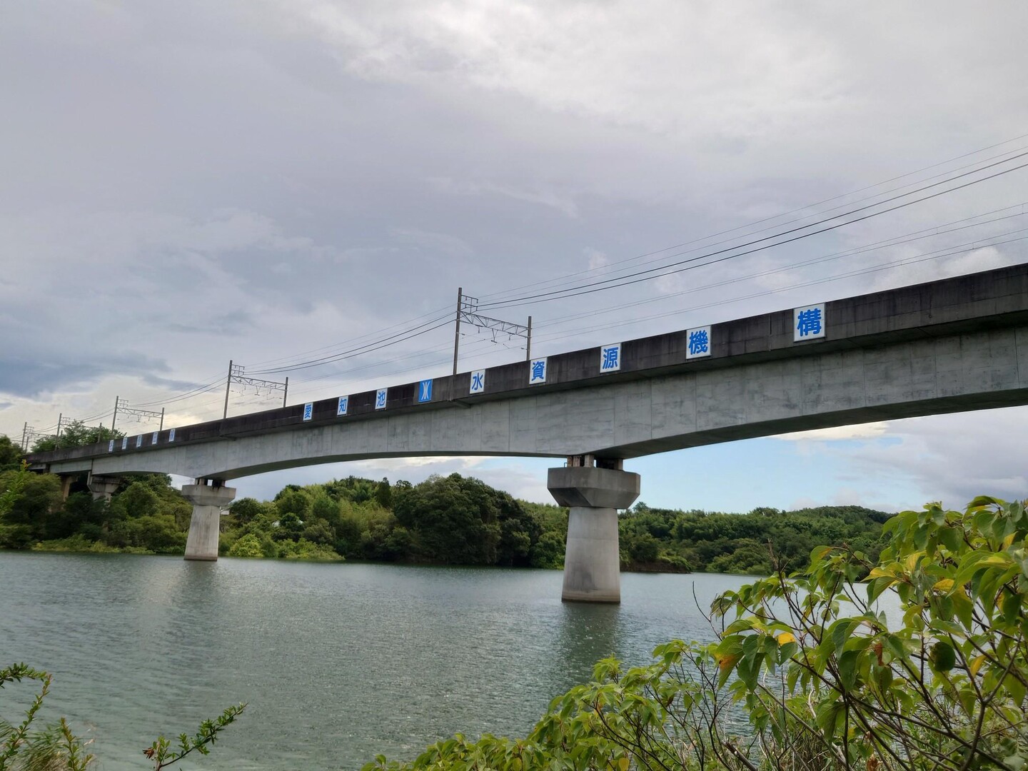 2023.8.23 東郷調整池（愛知... / 加宮さんのモーメント | YAMAP / ヤマップ