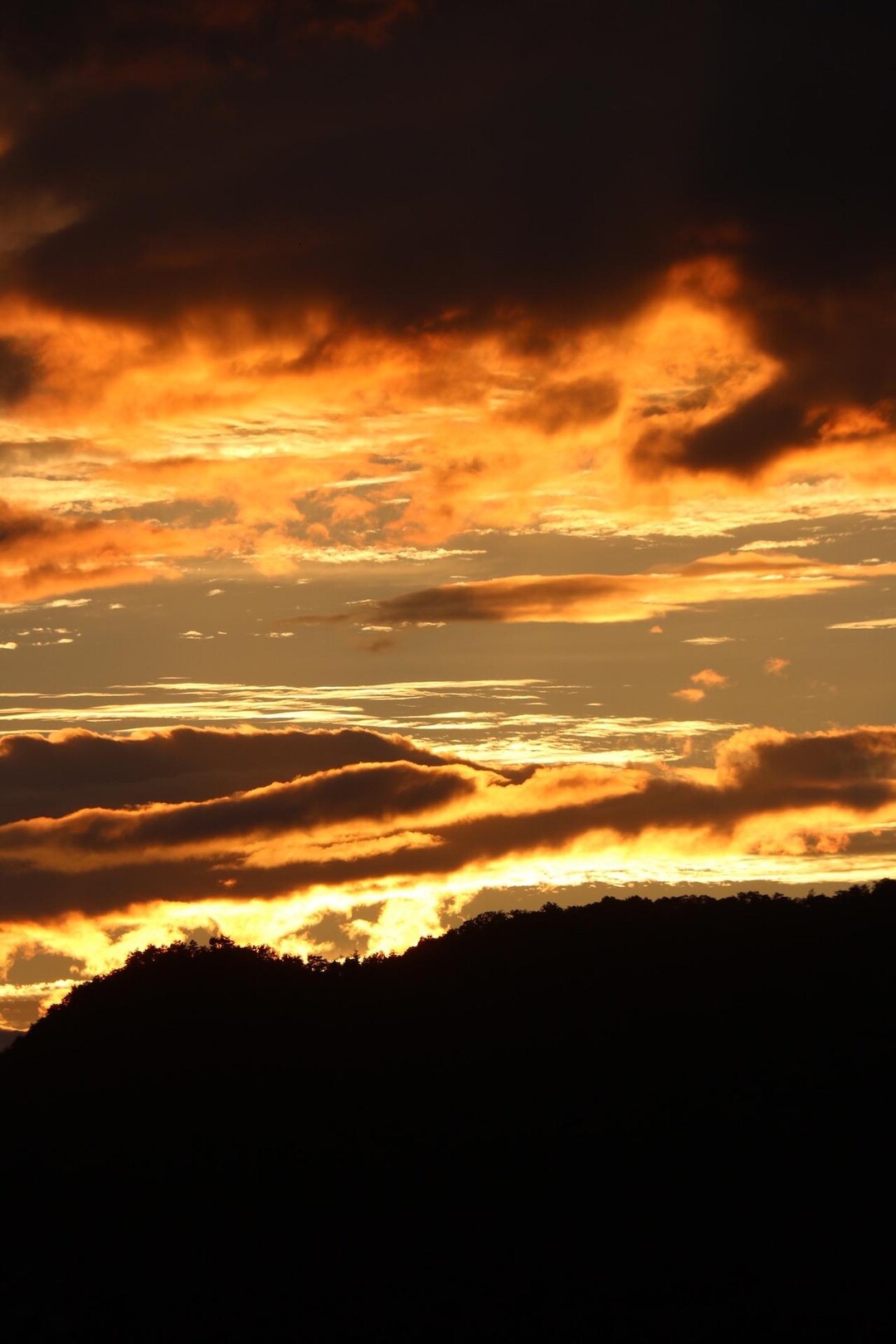 🏃‍♂️💨山トレ1週間ギュッとまとめて夕陽の各務原三峰山 権現山・北山 / tataさんの各務原アルプス（関南アルプス）・八木三山の活動データ | YAMAP / ヤマップ