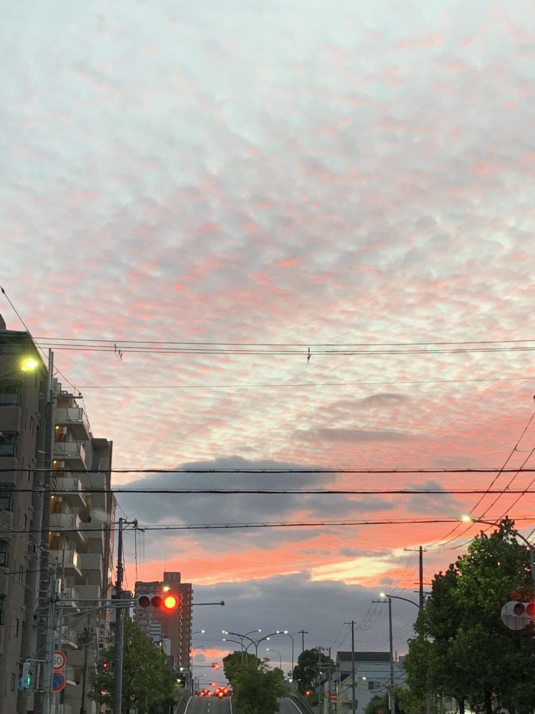 お疲れ様です / RNさんのモーメント | YAMAP / ヤマップ