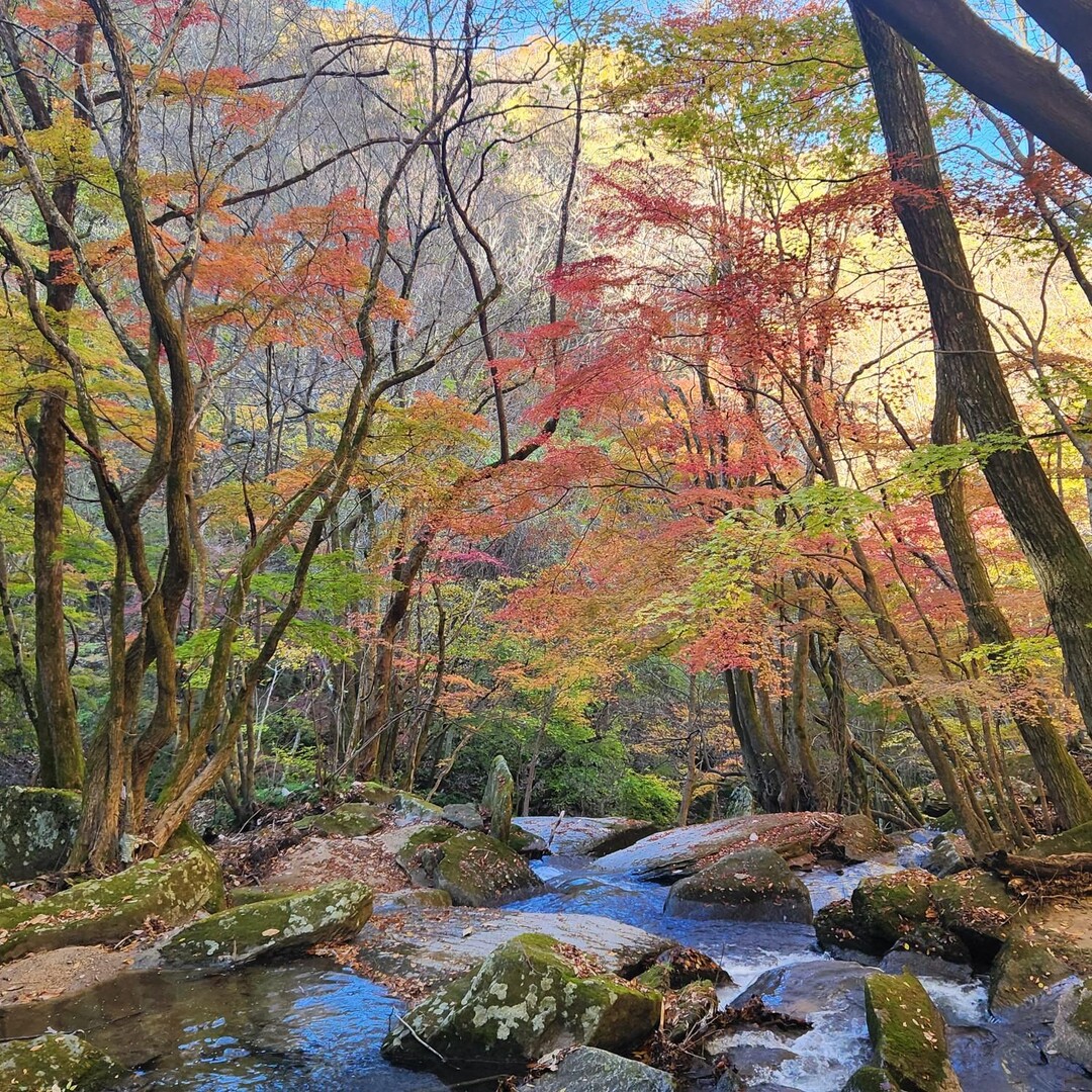 滝川渓谷 / papiさんの登山の活動データ | YAMAP / ヤマップ