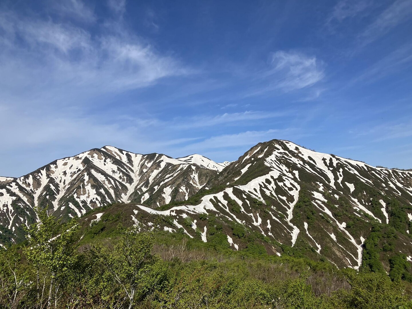 大朝日岳～残雪期の鳥原ルート / TAJIさんの大朝日岳・朝日連峰・祝瓶山の活動データ | YAMAP / ヤマップ