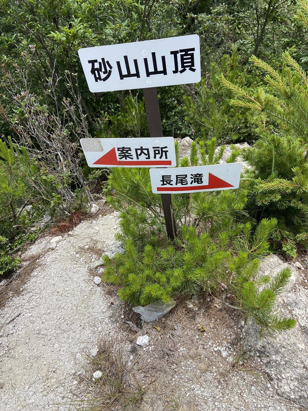 宇賀渓滝巡り-2024-06-15 / HIDEさんのウォーキングの活動データ | YAMAP / ヤマップ