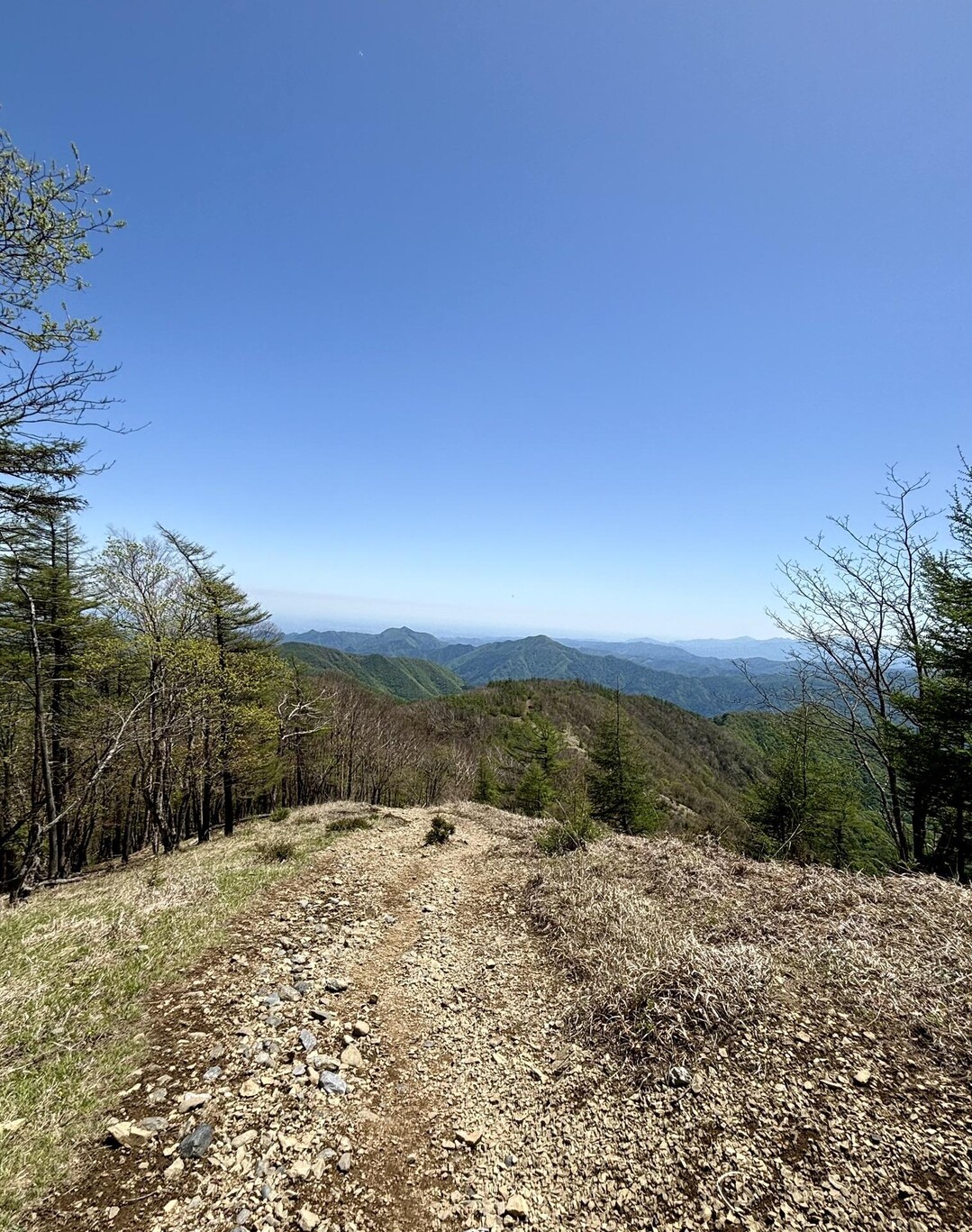 鷹ノ巣山〜石尾根縦走 / zumiさんの雲取山・鷹ノ巣山・七ツ石山の活動データ | YAMAP / ヤマップ