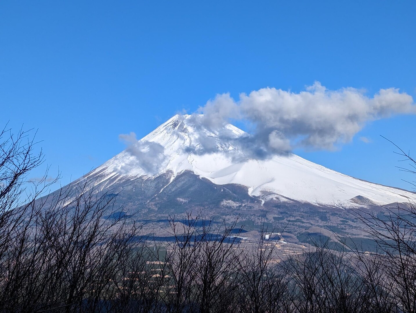黒岳・越前岳 / mz37さんの愛鷹山・大岳・黒岳の活動データ | YAMAP / ヤマップ