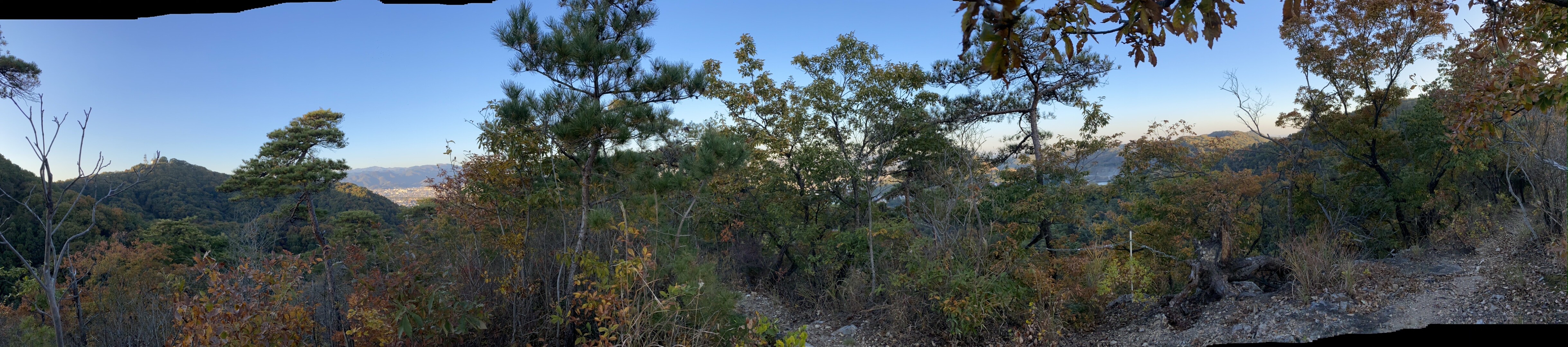 Moonkeyさんの投稿したフィールドメモ | YAMAP / ヤマップ