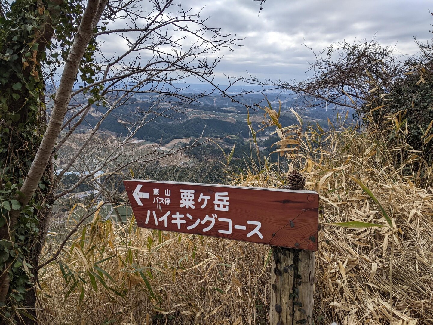 粟ヶ岳20+袋井可睡齋 / AWA-MANさんの粟ヶ岳の活動データ | YAMAP / ヤマップ
